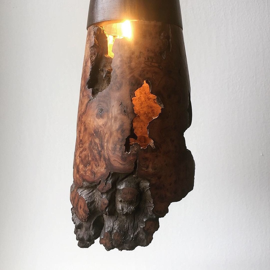 Mallee root | G I B U S