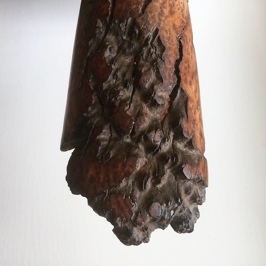 Mallee root | G I B U S